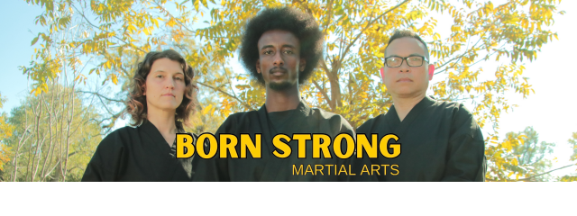 Home - Born Strong Martial Arts | Dallas, TX